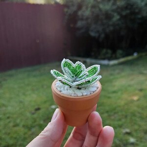French Beaded Succulents (set of 3) - Etsy