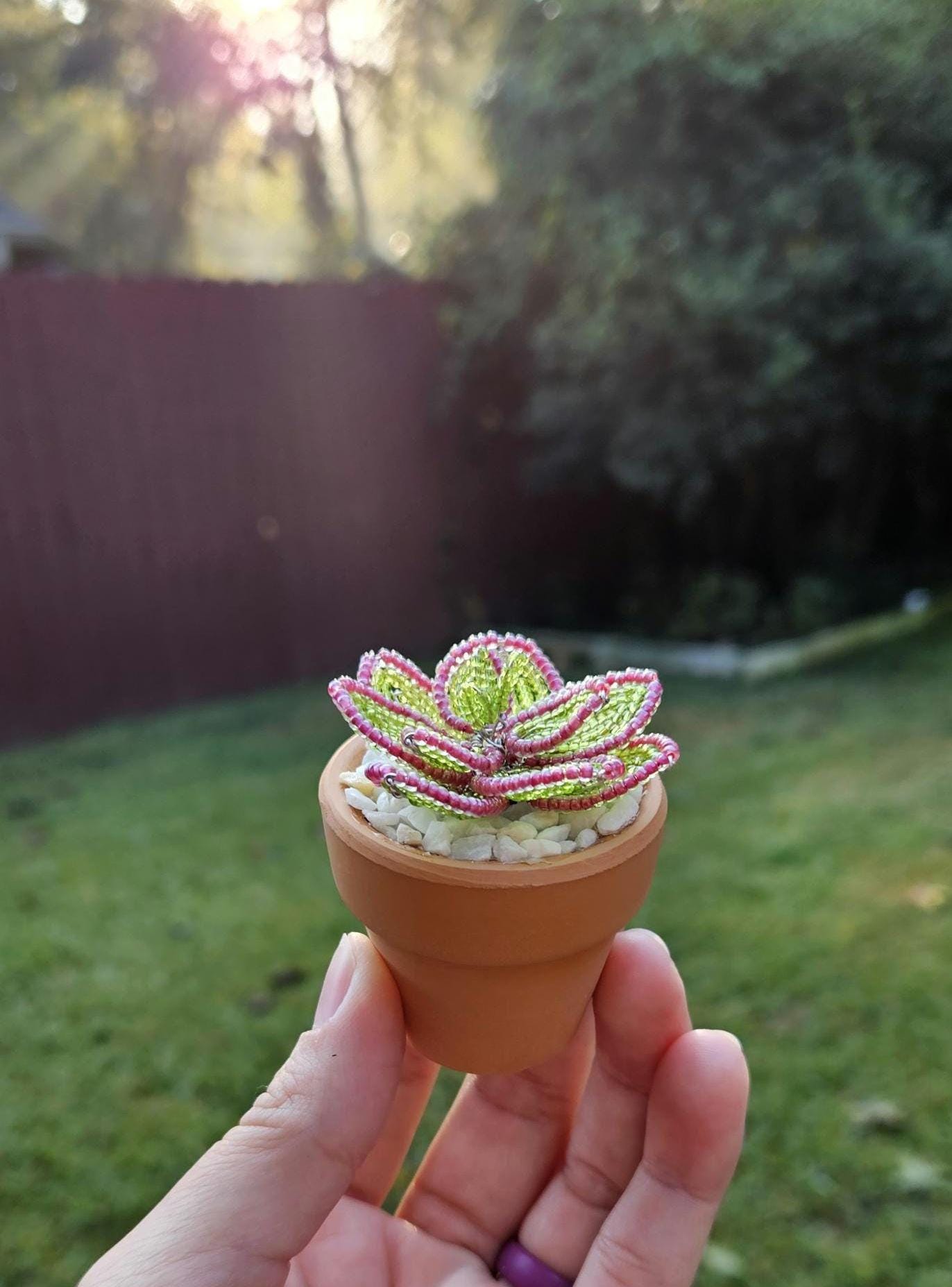 French Beaded Succulents (set of 3) - Etsy