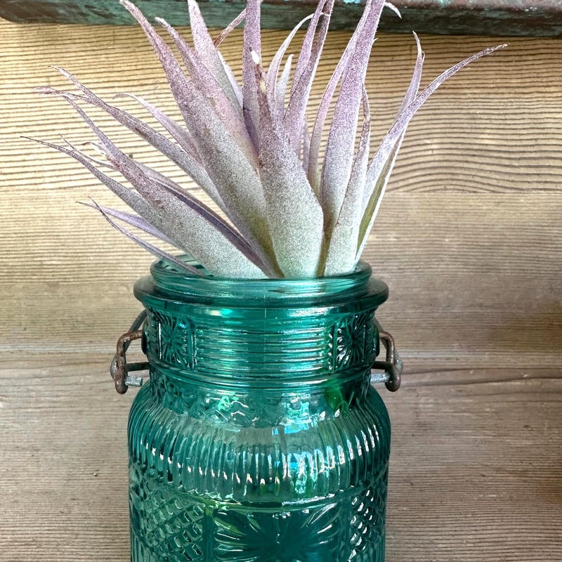 Vintage Avon Glass Jar - Etsy