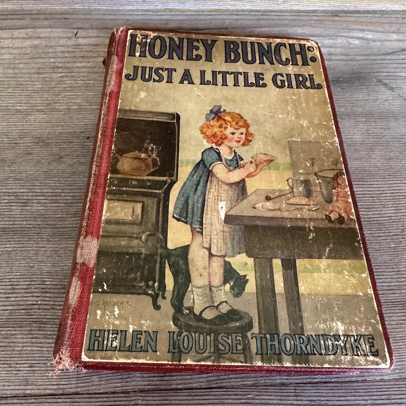 Vintage Honey Bunch Books - Etsy