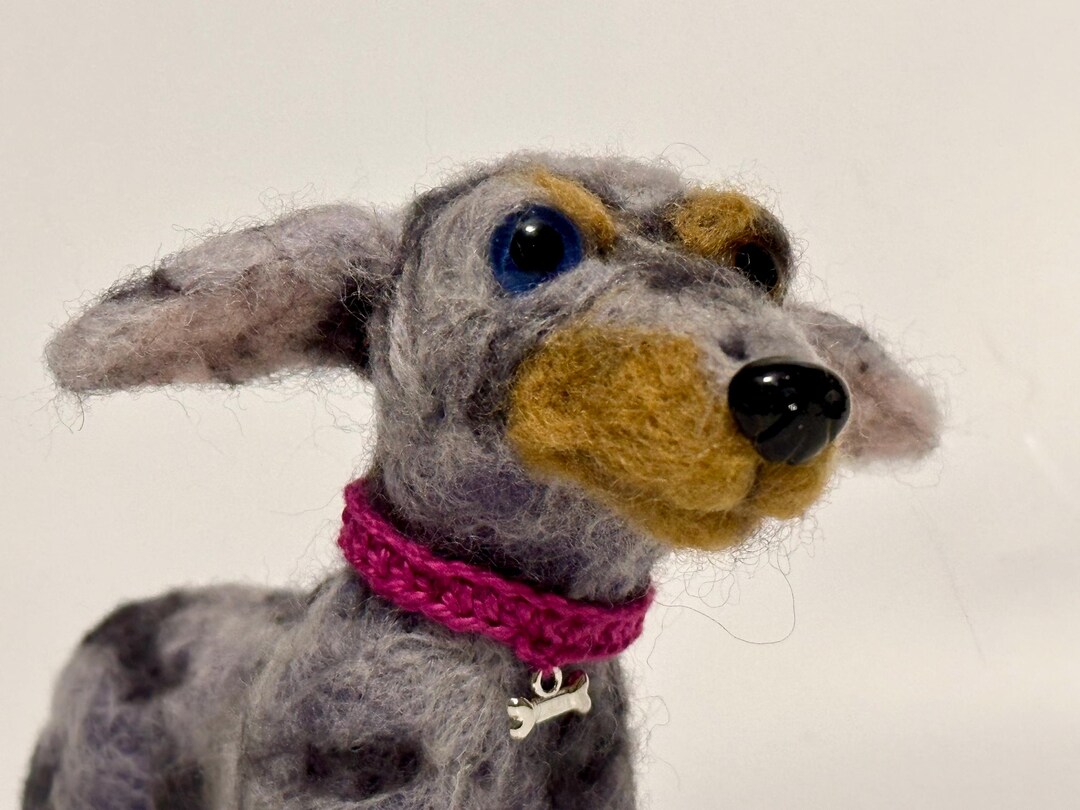 Neee Felted Blue Merle Dapple Dachshund in Magenta Collar With Dog Bone ...