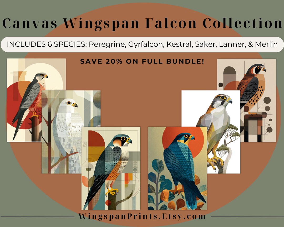Geometric Falcon Art Print Set: Mid-century Modern Animal Posters - Etsy