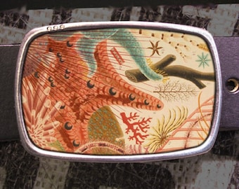 Starfish Belt Buckle - Etsy