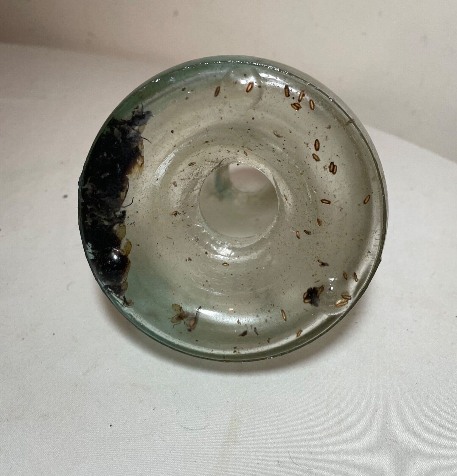 Rare Antique Glass Fly Mosquito Bee Wasp Insect Catcher Trap Metal ...