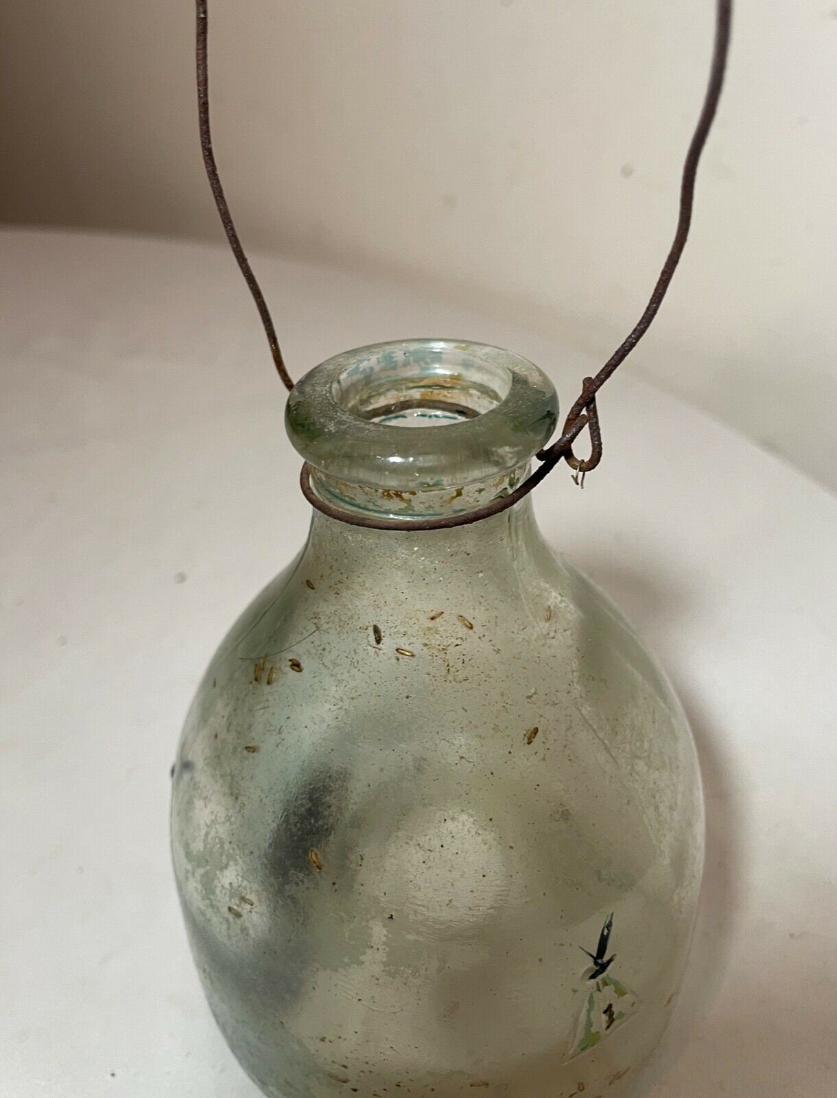 Rare Antique Glass Fly Mosquito Bee Wasp Insect Catcher Trap Metal ...