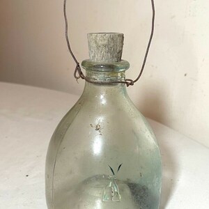Rare Antique Glass Fly Mosquito Bee Wasp Insect Catcher Trap Metal ...
