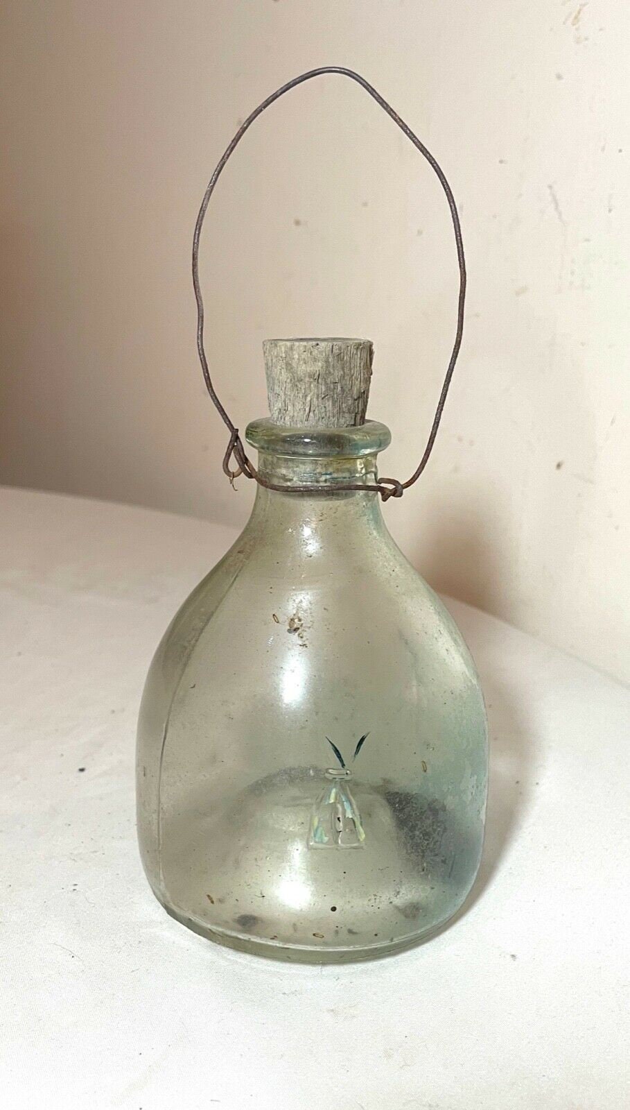 Rare Antique Glass Fly Mosquito Bee Wasp Insect Catcher Trap Metal ...