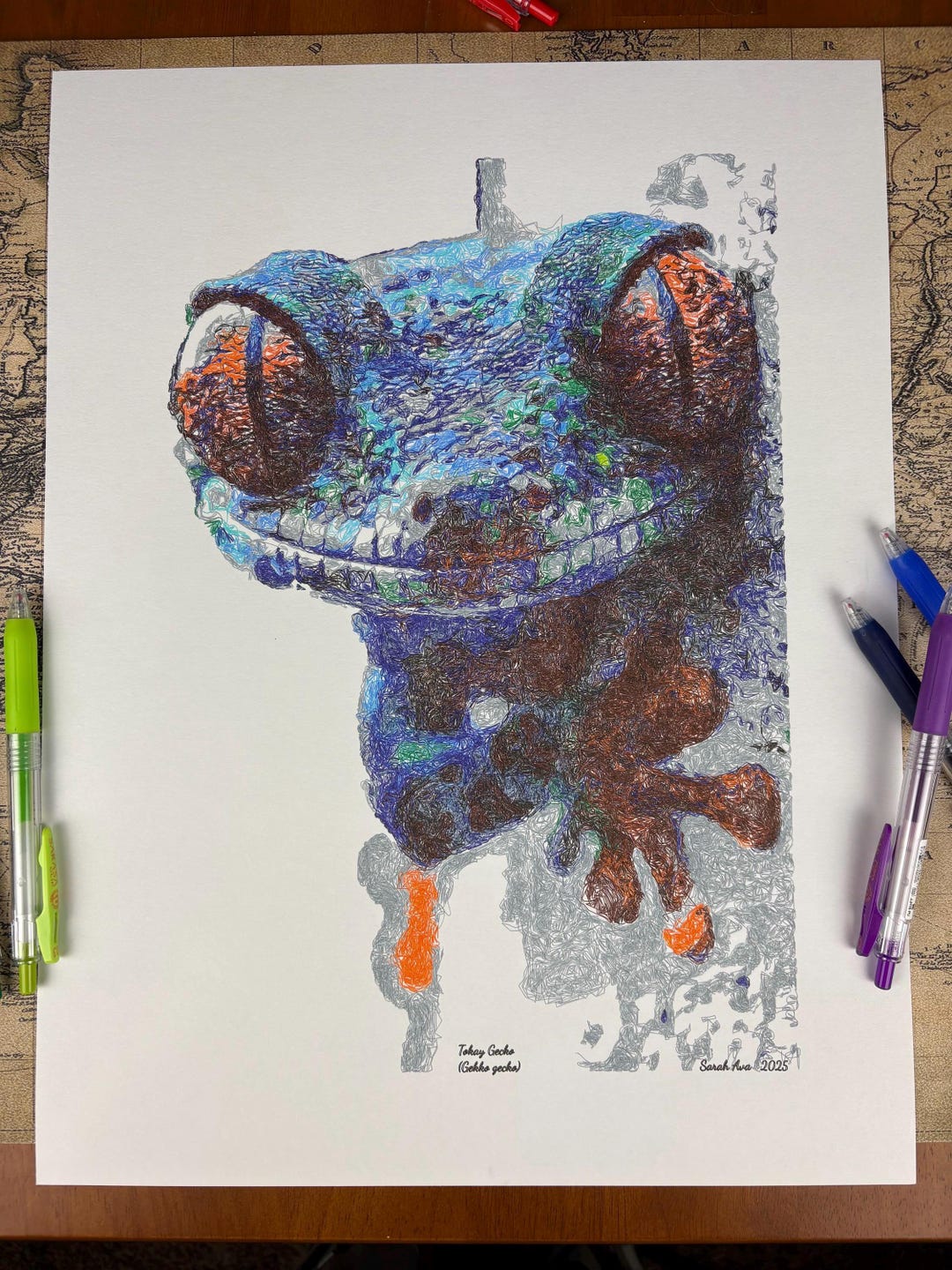 Original Hand-drawn Ink Artwork – Tokay Gecko (gekko Gecko) – Lizard ...