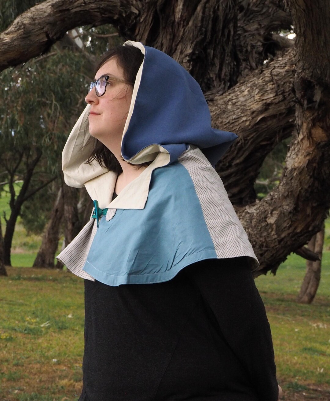 Medieval Renaissance Hood - Multicoloured Blue Green - Etsy