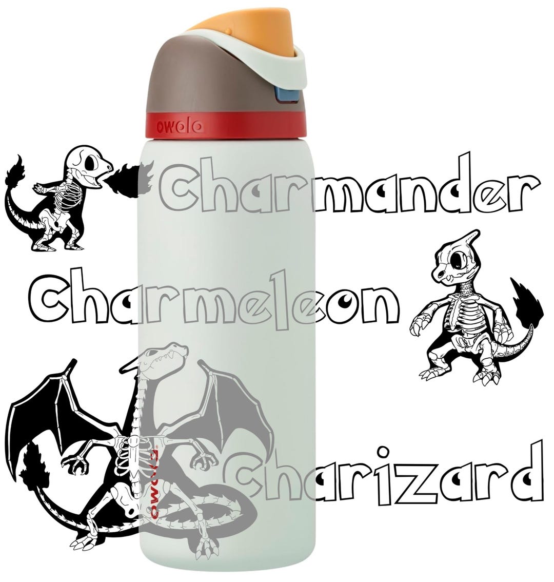 Charmander Evolution Skeleton Design - Custom Water Bottle - Etsy