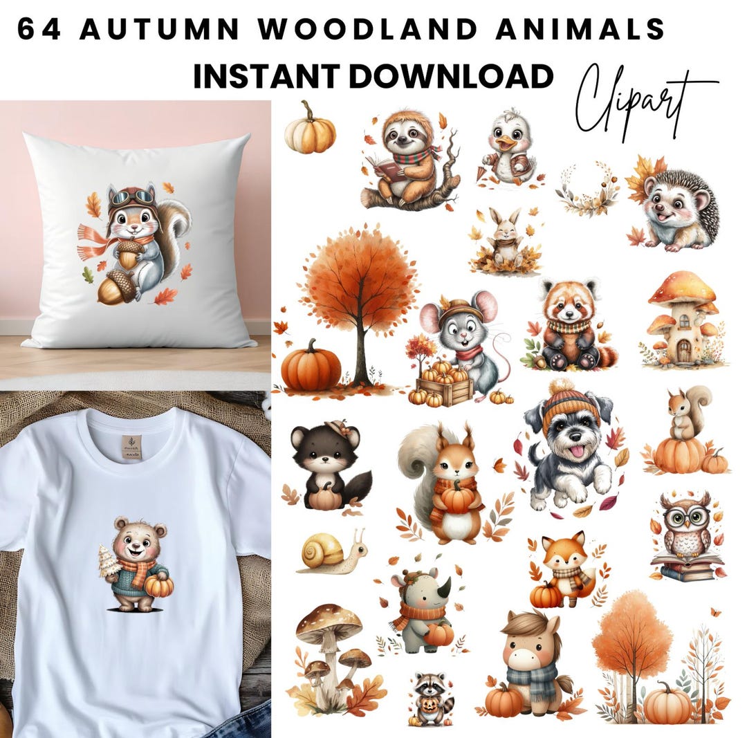 Autumn Woodland Animals Clipart – Fall Forest Graphics – 64 PNG Digital ...