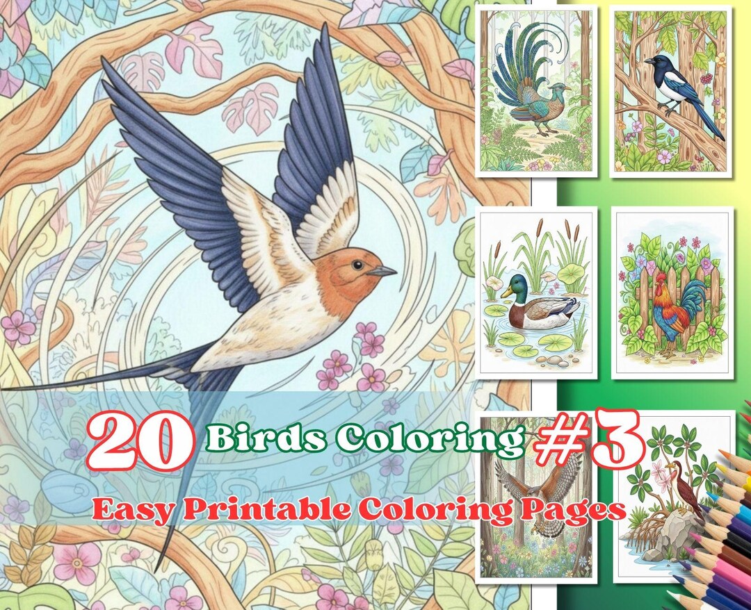 Birds Coloring Book | 20 Printable Bird Illustrations (PDF) - Etsy