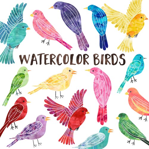 Watercolor Birds: PNG Clipart / 3 Whimsical Clip Art Birds / - Etsy Canada