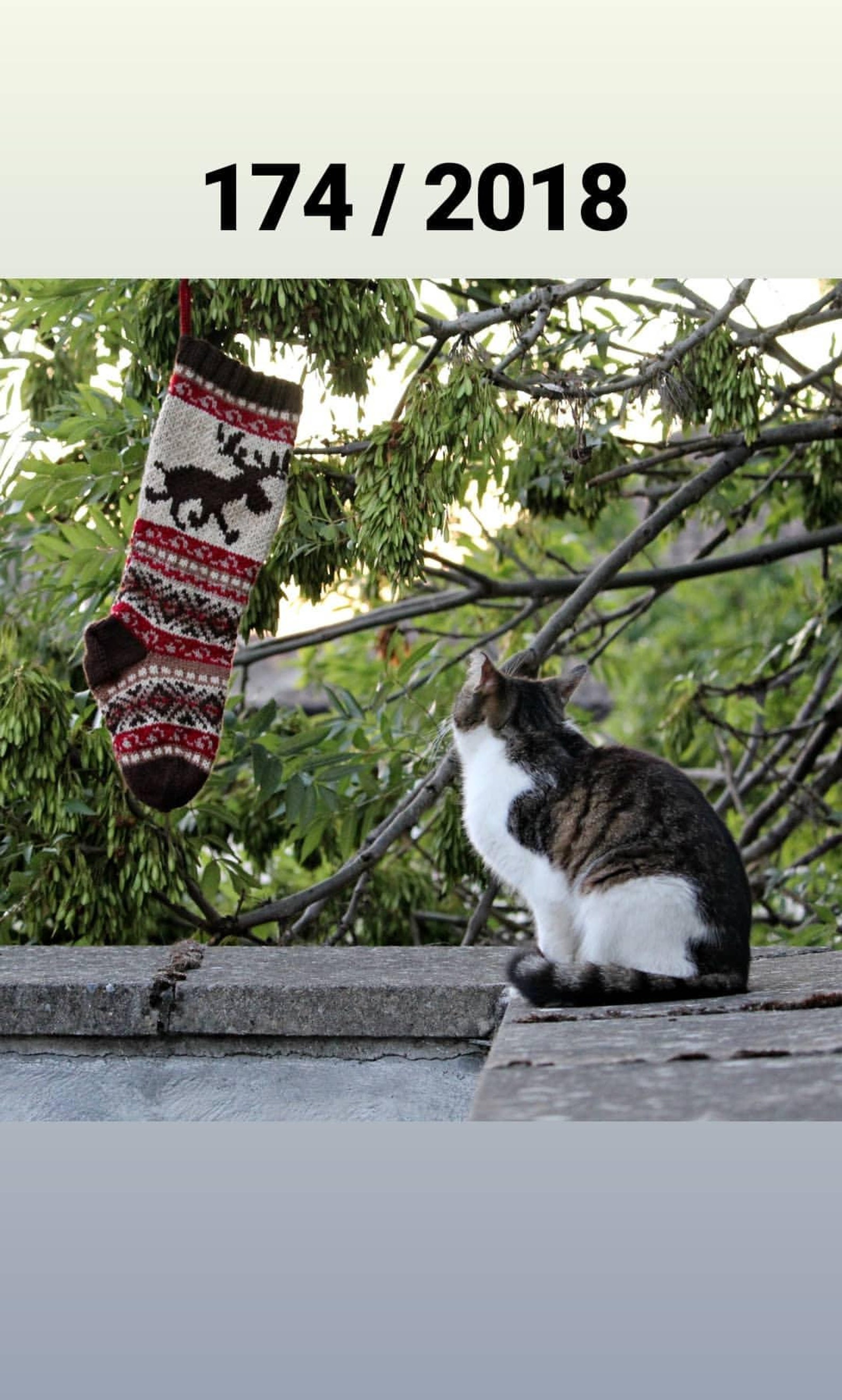 Moose Fairisle Pattern Christmas Stockings Knit Pattern Fair - Etsy