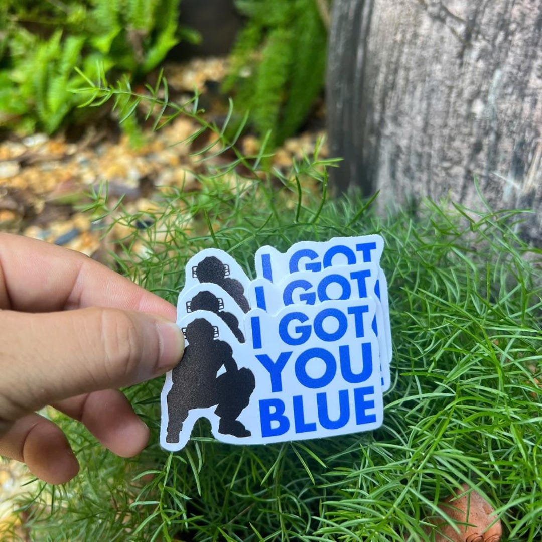 I Got You Blue Baseball Sticker Set: Waterproof Vinyl Decals - Etsy