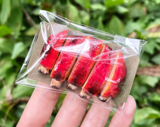 Miniature SPARE RIBS BBQ 5 Pcs Set, Dollhouse Food, Bjd Doll Prop, Msd ...