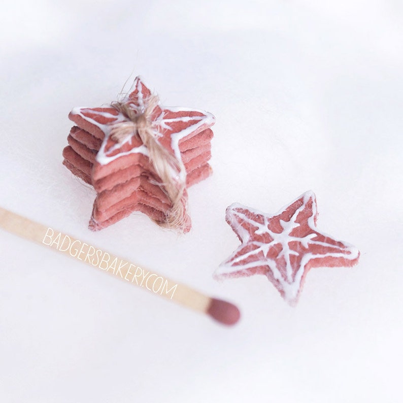 Miniature CHRISTMAS COOKIES Bundle Tiny Gingerbread Star - Etsy