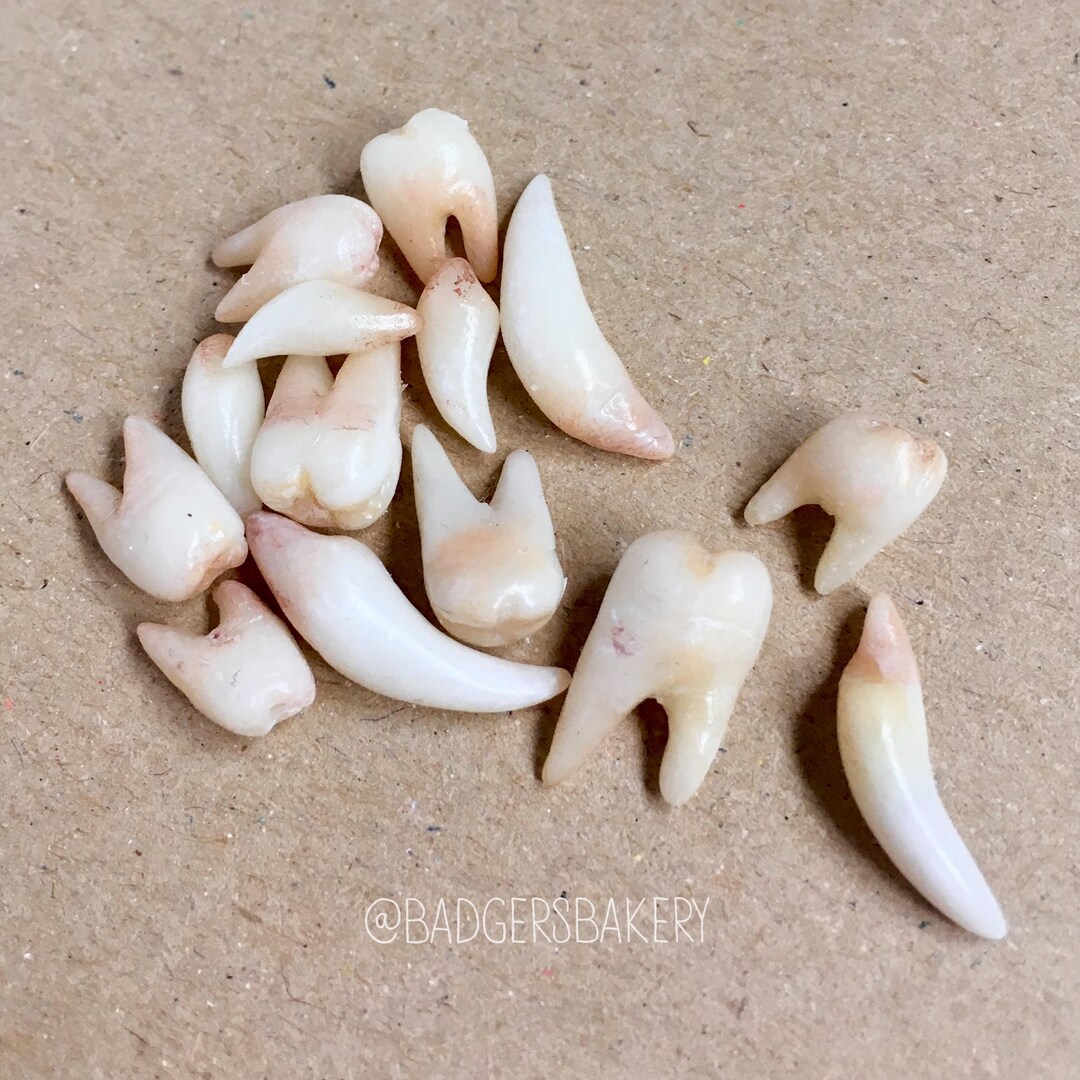 Creepy Tooth Beads, Halloween Props, Miniature Teeth for BJD, Vampire Fangs - Etsy