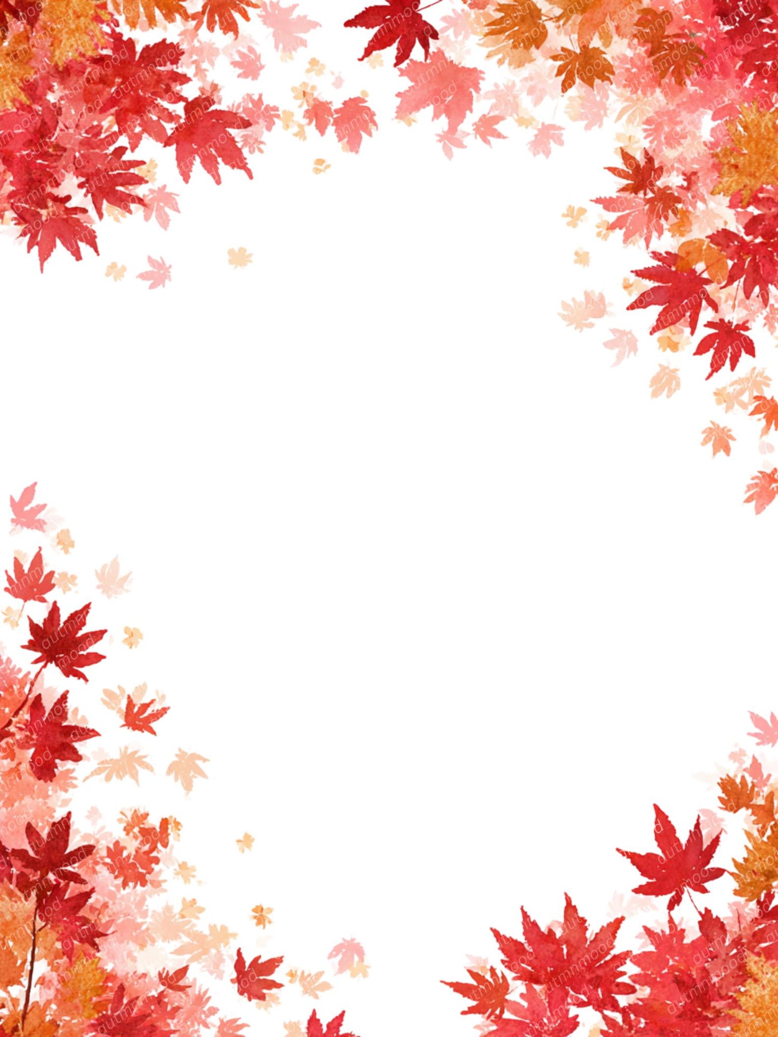 12 Autumn Maple Leaves Frame Set: Fall Clipart PNG Borders (digital ...
