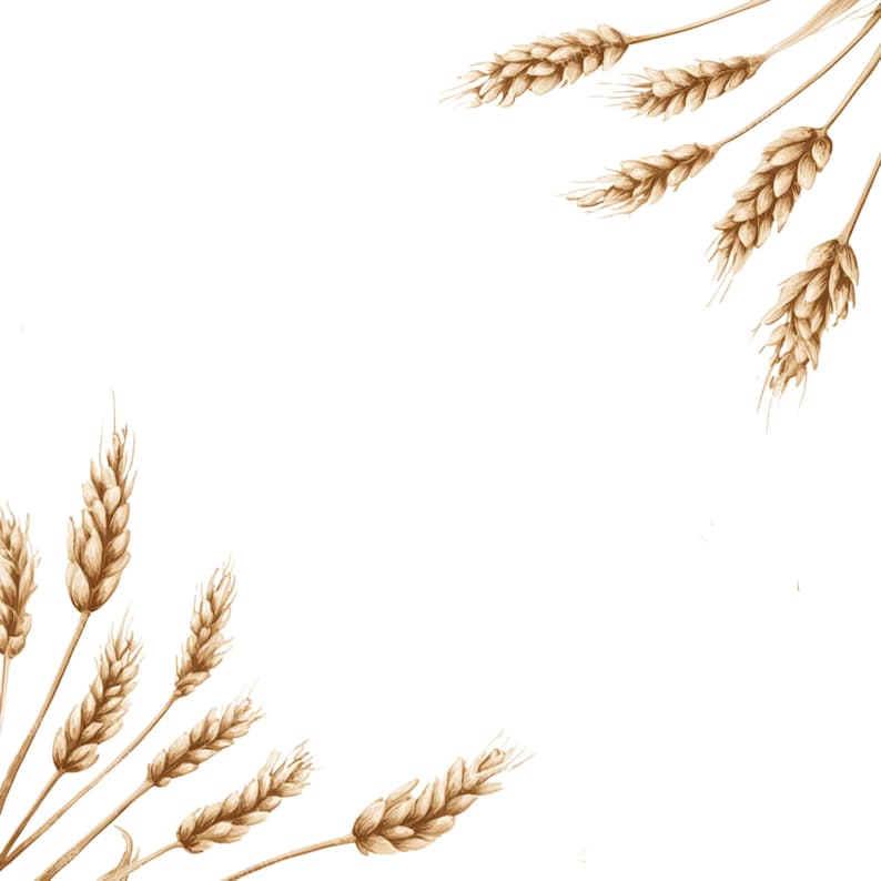 Wheat Wreaths Clipart – 18 PNG Golden Fall Frames With Autumn Wheat ...