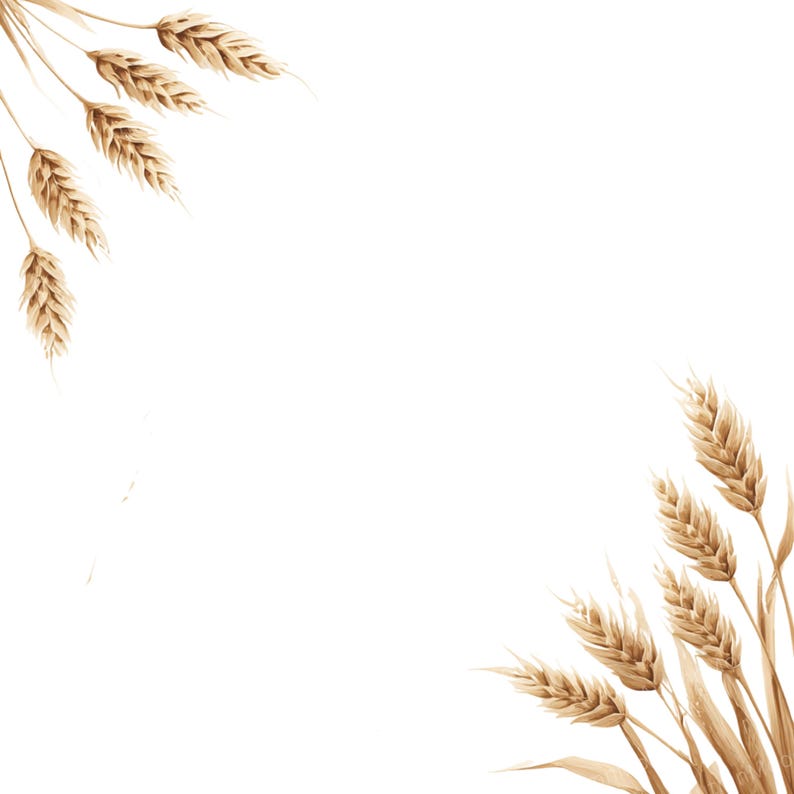 Wheat Wreaths Clipart – 18 PNG Golden Fall Frames With Autumn Wheat ...