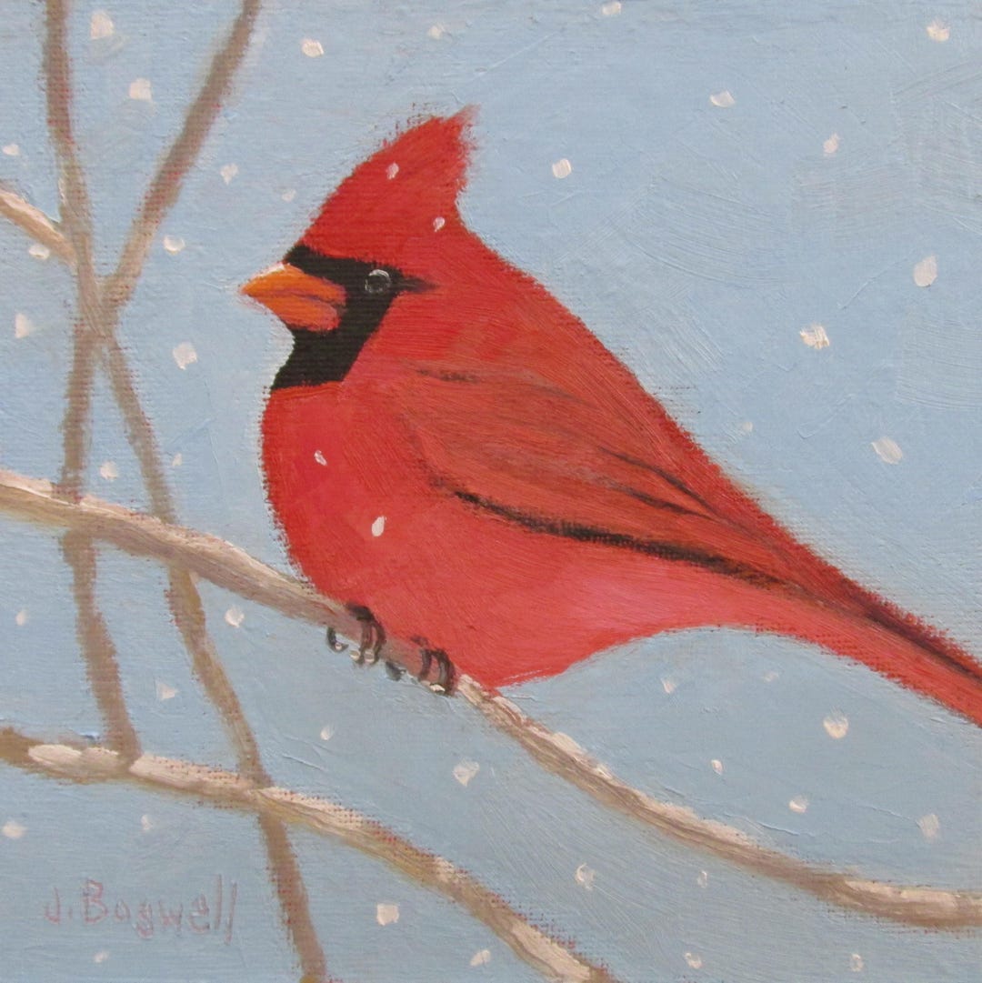 Original Jennifer Boswell Cardinal Red Bird 6x6 Original Oil Painting ...