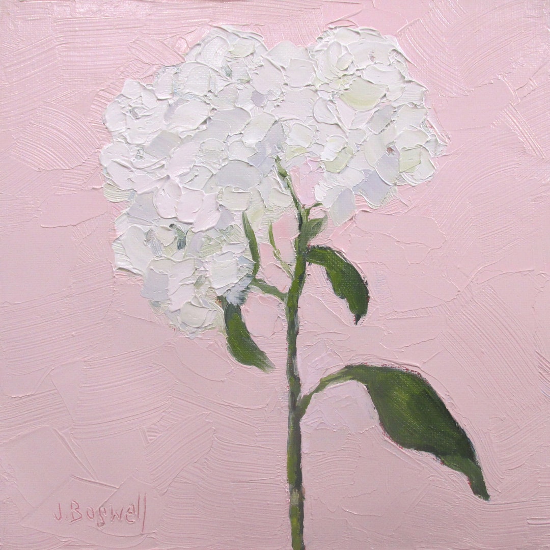 Jennifer Boswell 30x30 White Hydrangea on Pink Signed Canvas Print From ...