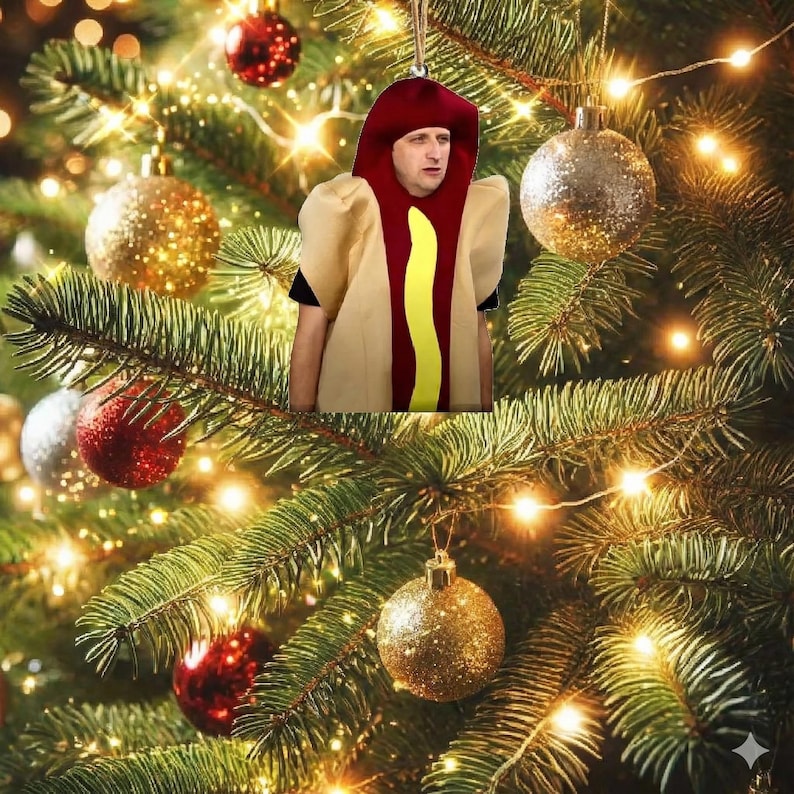 Tim Robinson Zipline Ornament – I Think You Should Leave ITYSL Car Air ...