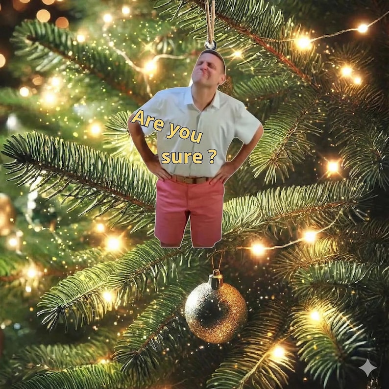 Tim Robinson Zipline Ornament – I Think You Should Leave ITYSL Car Air ...