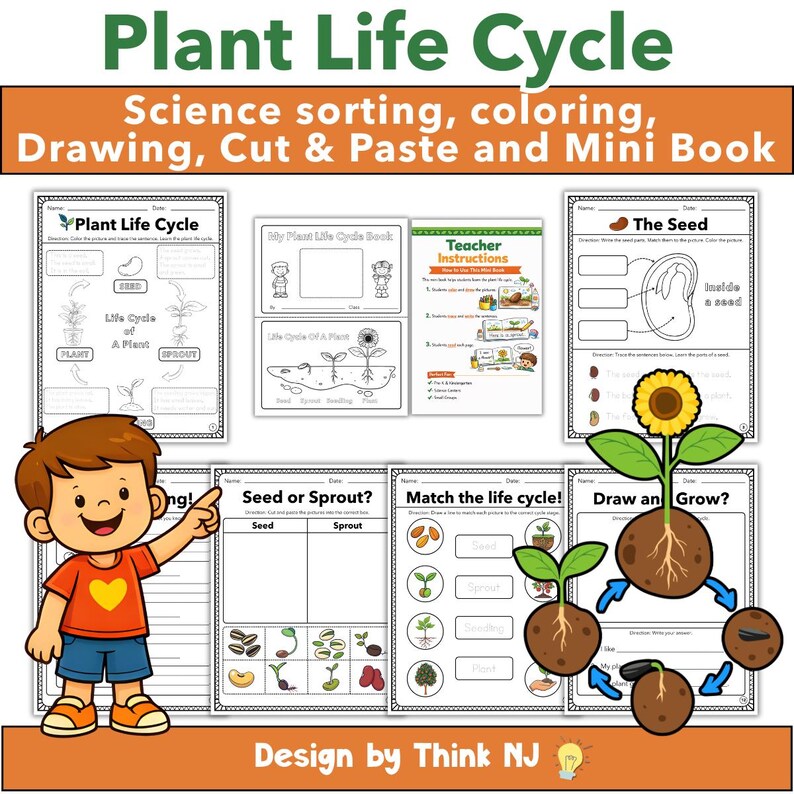 Plant Life Cycle Worksheets | Parts of a Plant, Seed to Plant, Sorting ...