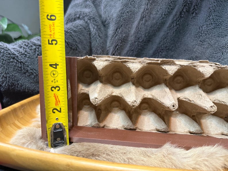 Dubia Egg Carton Holder - Etsy