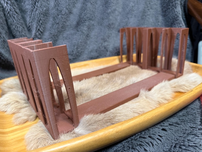 Dubia Egg Carton Holder - Etsy