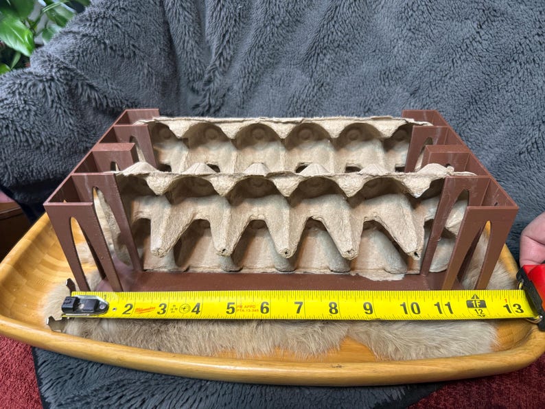 Dubia Egg Carton Holder - Etsy