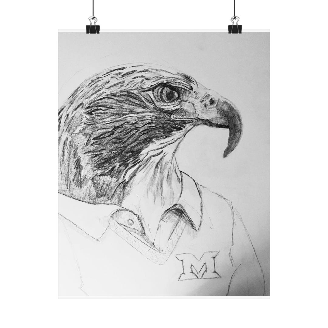 Redhawk From Miami University Ohio, Unique Art for the Graduate or Fan ...