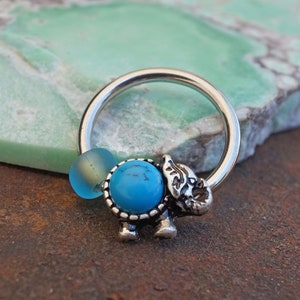 16 Gauge CBR Cartilage Hoop Earring Turquoise Elephant Tragus Hoop ...