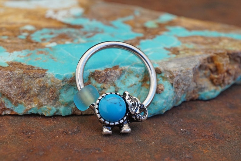 16 Gauge CBR Cartilage Hoop Earring Turquoise Elephant Tragus | Etsy