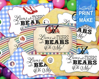 Wizard of Oz Gift | Etsy