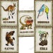 Australian Animals 5x7 Table Cards INSTANT DOWNLOAD Printable Birthday ...