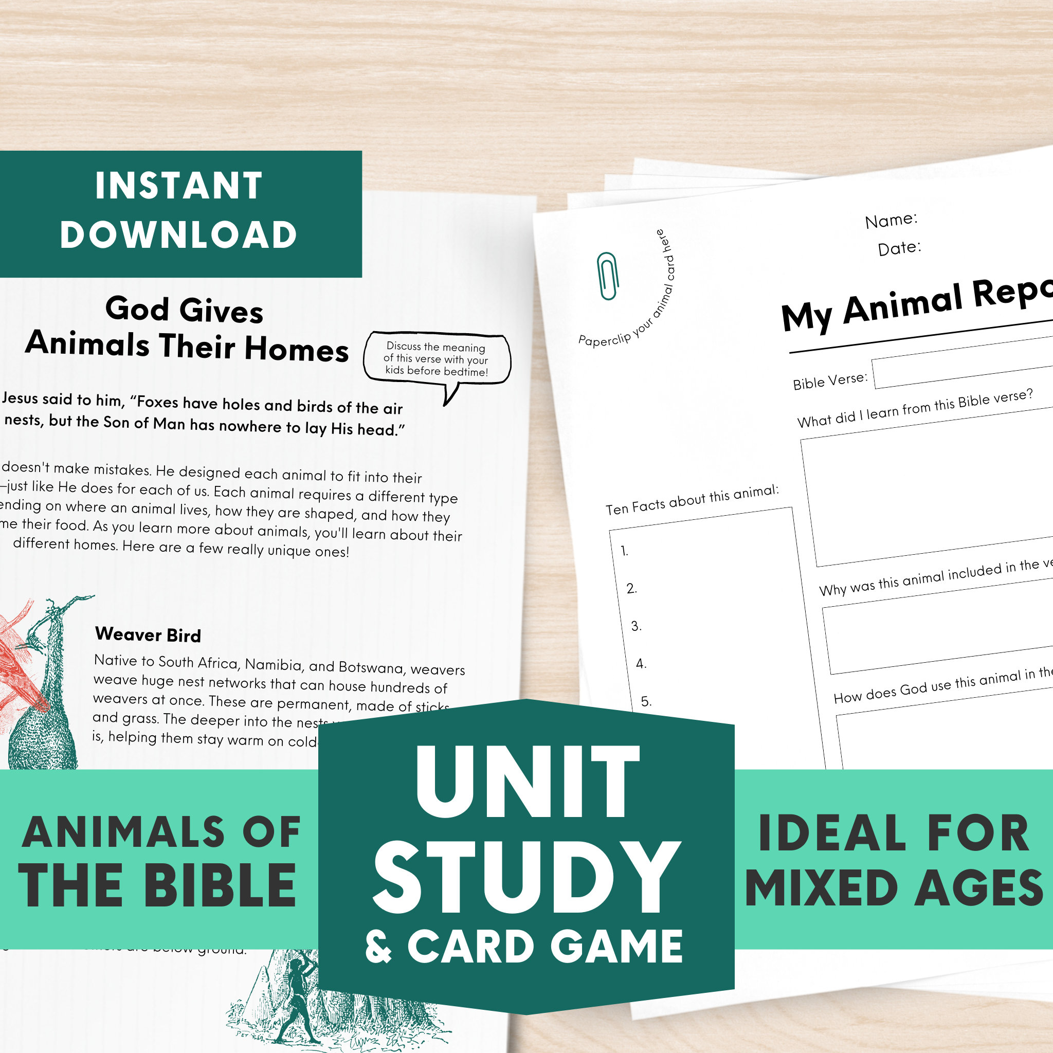 Animals of the Bible Unit Study: Homeschool Curriculum (digital ...