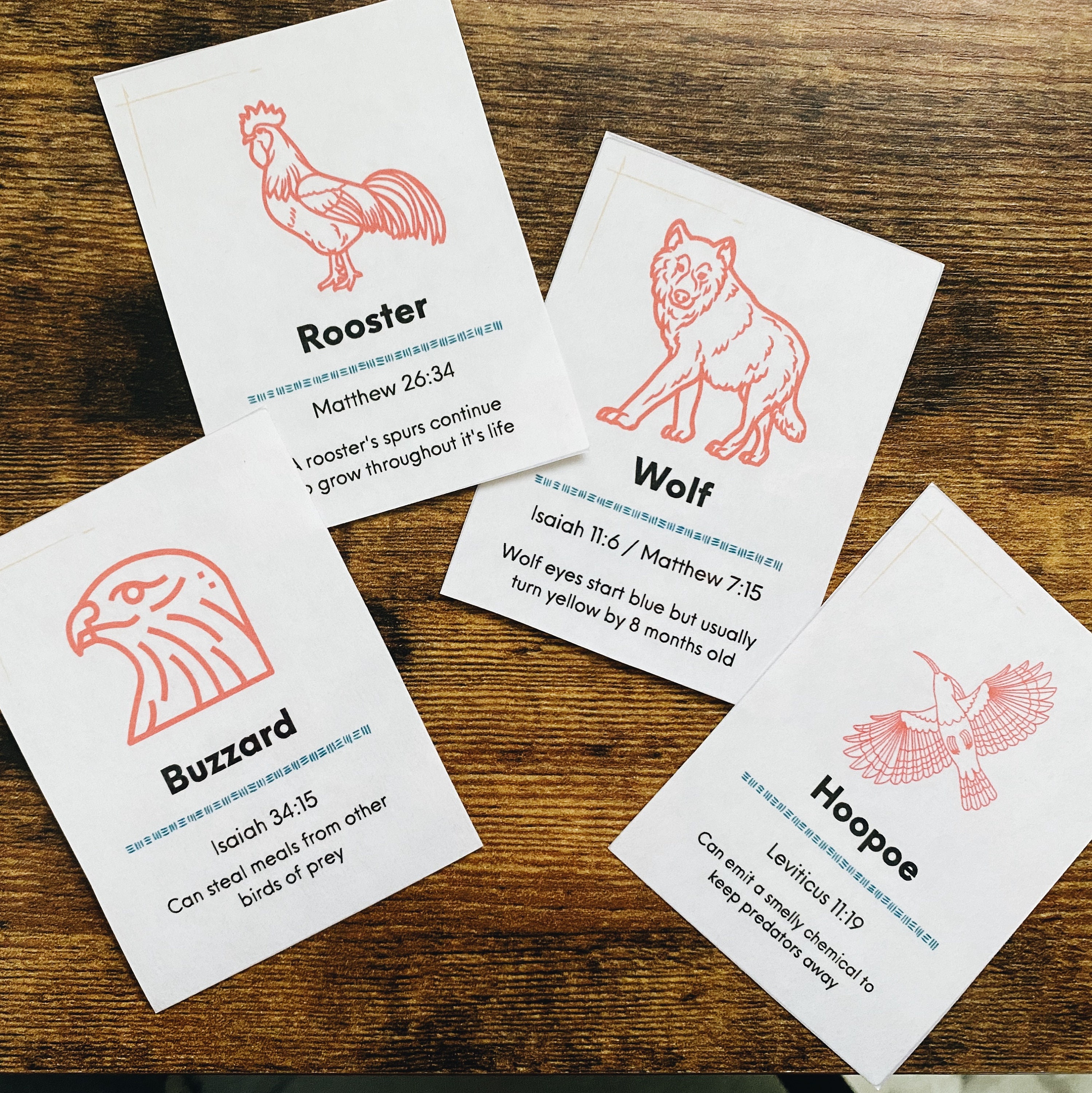 Animals of the Bible Kids Card Game Homeschool Printable Flashcards ...