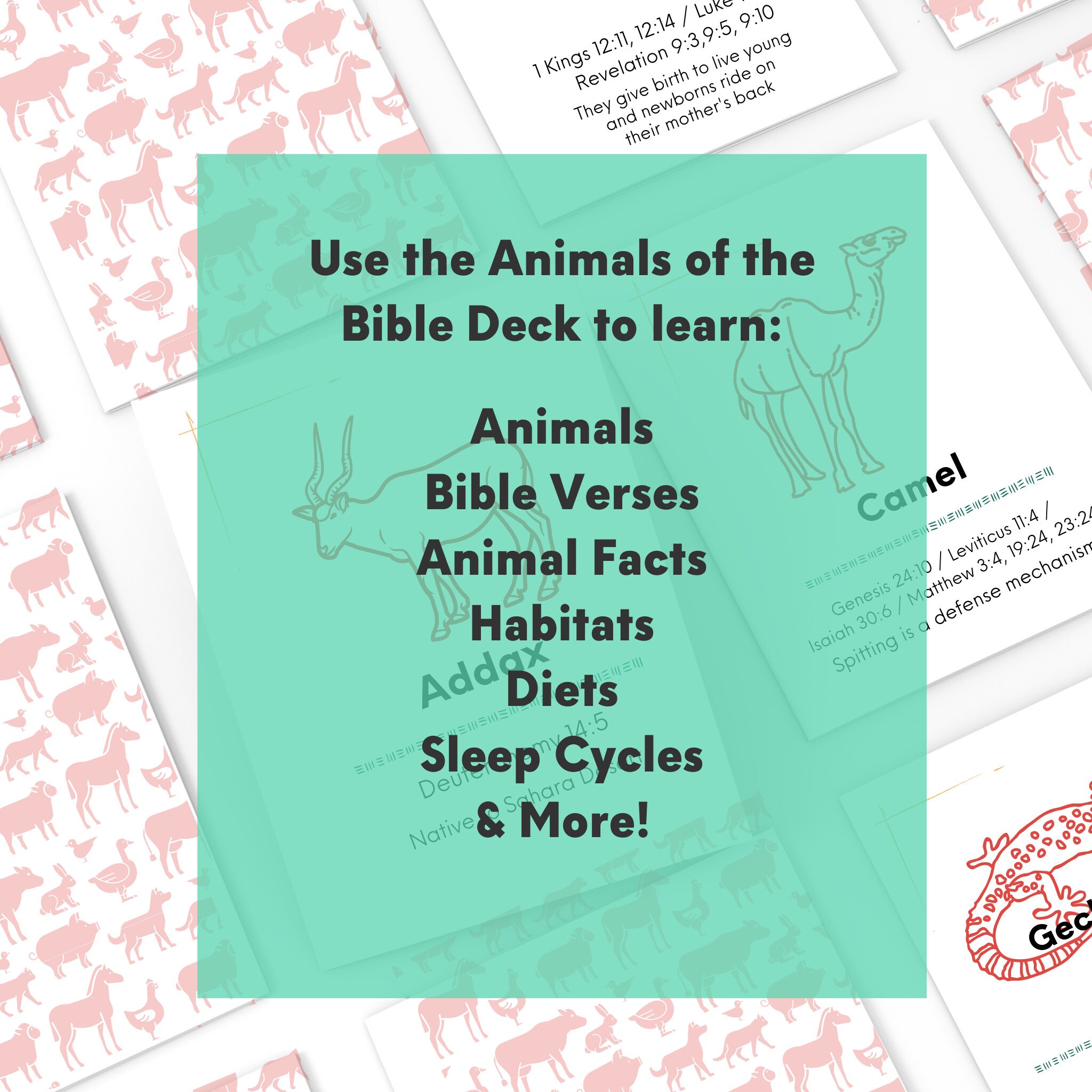 Animals of the Bible Unit Study Complete Christian Homeschool ...