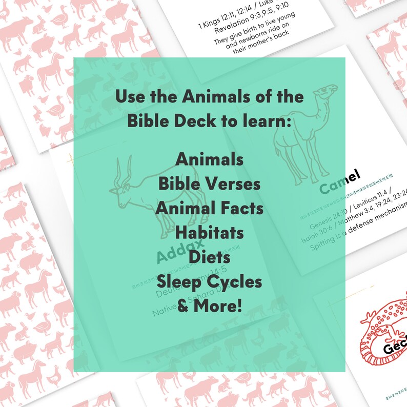 Animals of the Bible Kids Card Game Homeschool Printable Flashcards ...