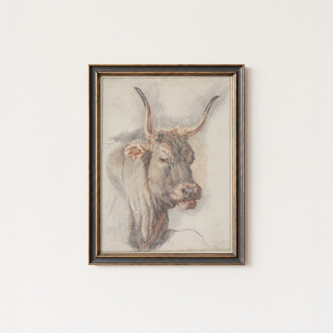 Timeless Ox Portrait Print | Vintage Farm Animal Drawing Wall Art ...