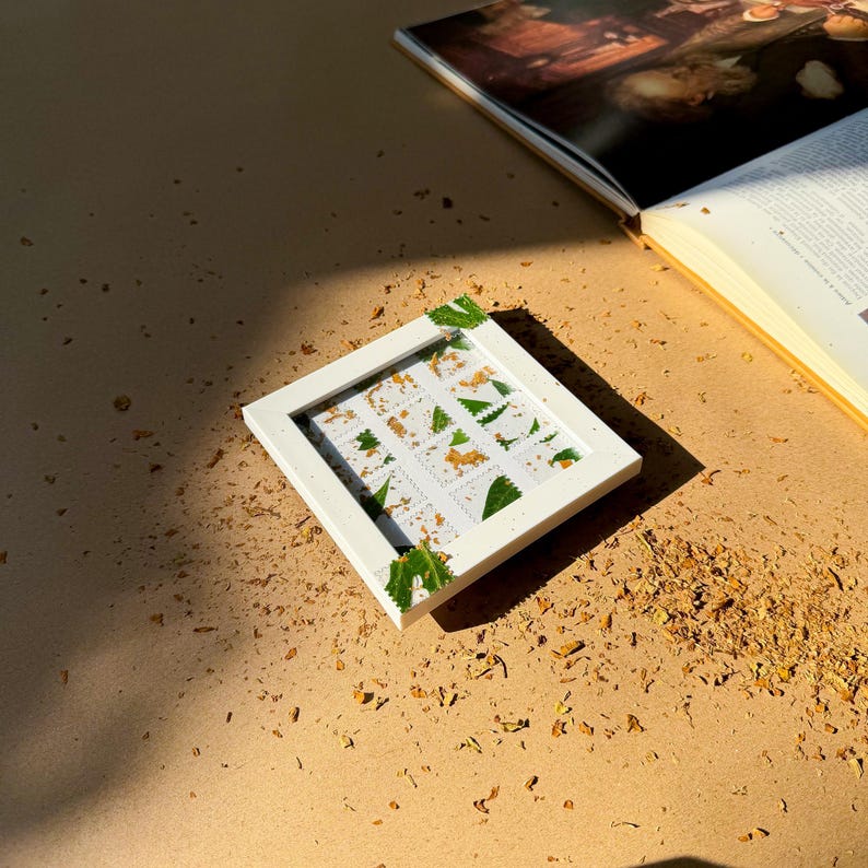 Pressed Papaya Leaf Frame, Handmade Botanical Wall Art - Etsy