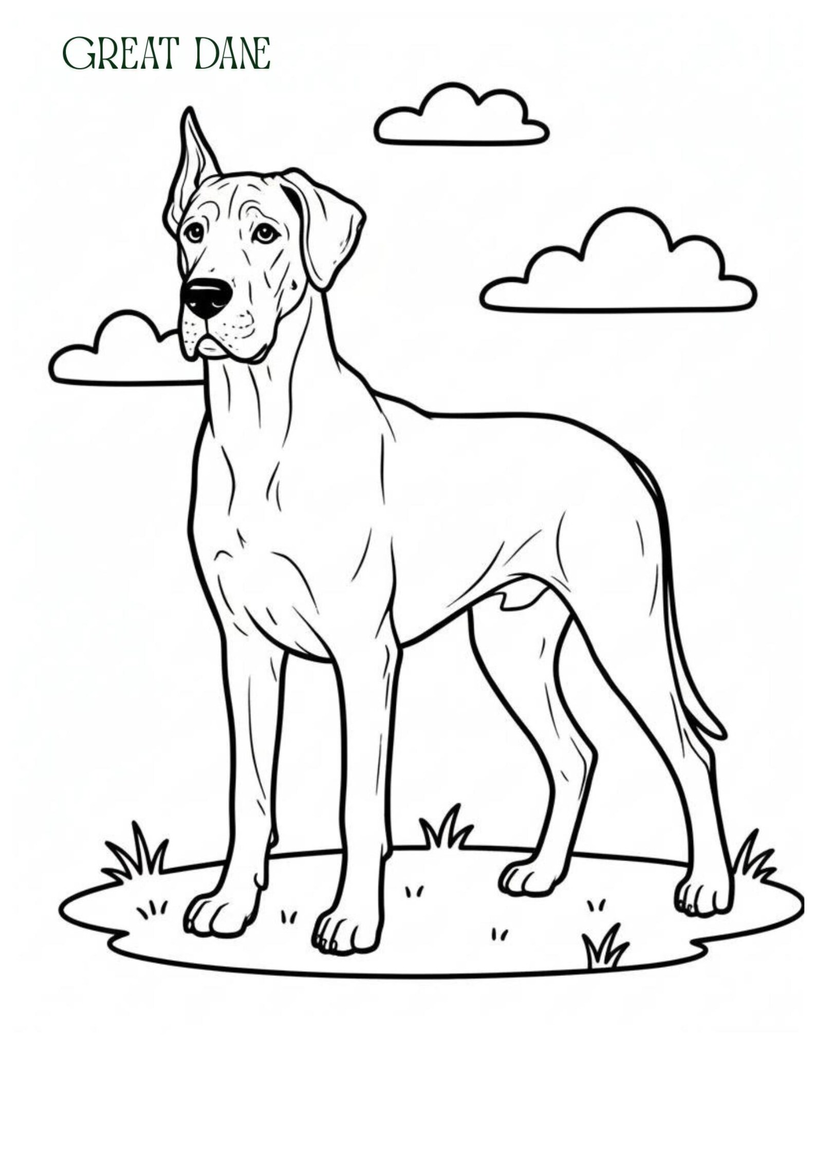 Printable Dog Coloring Book for Kids/ 10 Easy Dog Breeds to Color - Etsy
