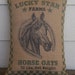 Race Horse Burlap Pillow, Race Horse Feed, 17 Inch Square, Shabby Chic ...