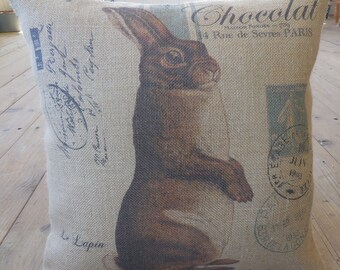 Peter Rabbit Burlap Pillow Farmhouse Pillows Spring Easter | Etsy