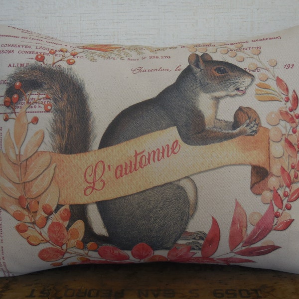 Squirrel Pillow - Etsy