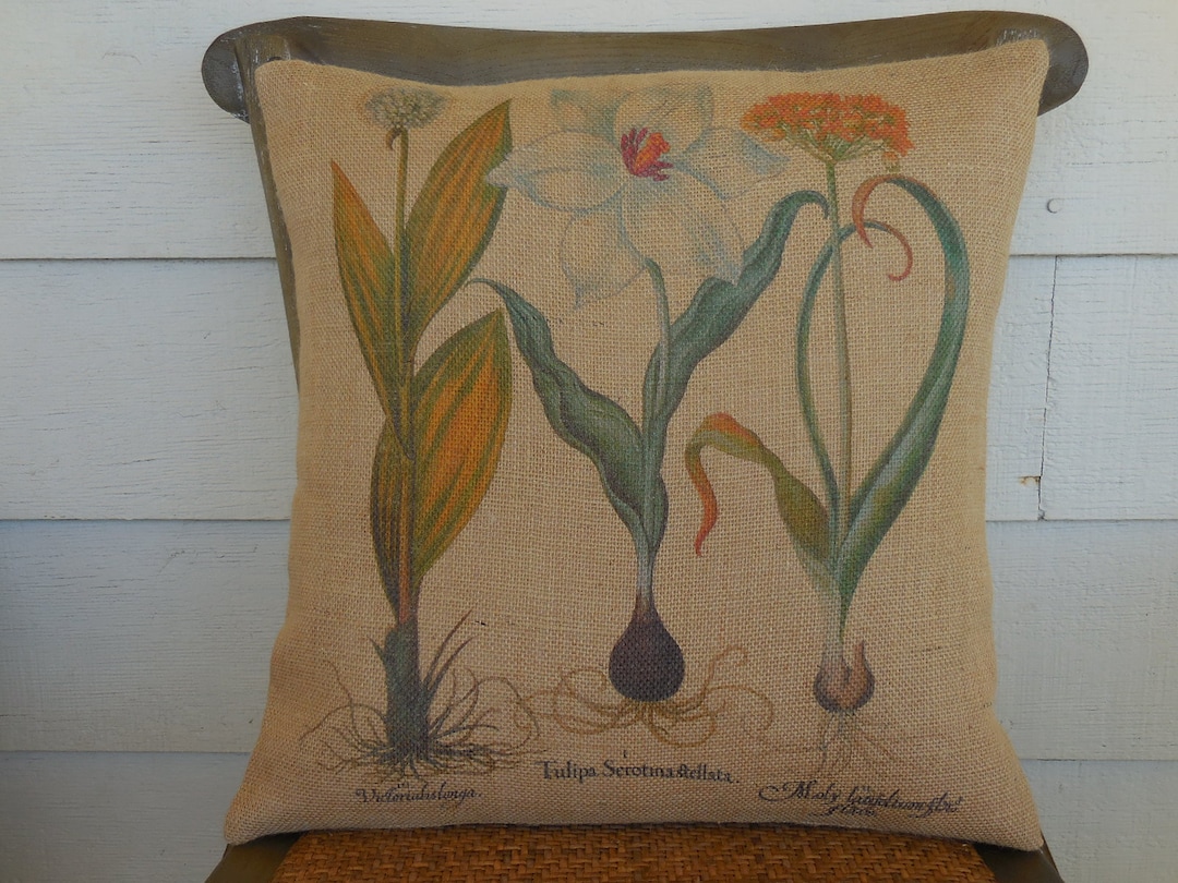 Botanical Print Burlap Pillow, Rustic French Farmhouse, Shabby Chi ...