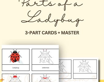 Parts of a Ladybug - Montessori Insects Nomenclature 3-part Cards ...
